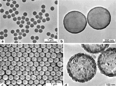 Exams And Me Latex Agglutination Test