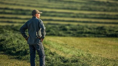 Labcorps Impact Labcorp