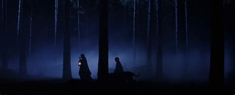 When Harry Saw Voldemort Drinking Unicorn S Blood In The Forbidden Forest We Were Unknowingly