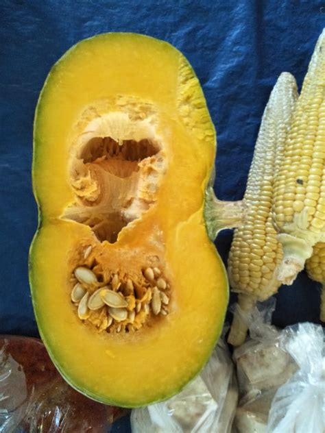 Siopen Hss Toko Najwa Labu