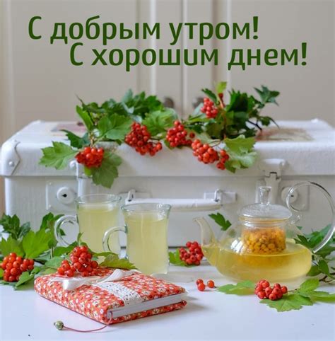 Картинки с надписями С добрым утром С хорошим днем