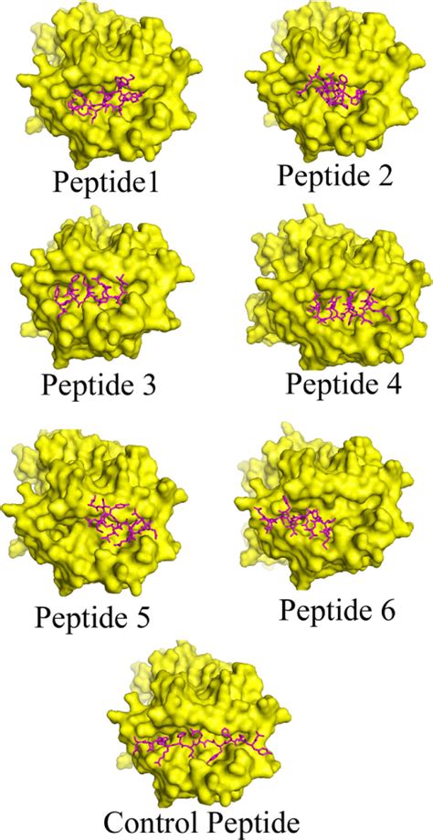Md Simulations Were Carried Out In Gromacs V5 0 A Molecular