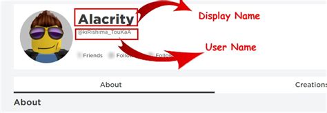 How To Change Your Display Name On Roblox