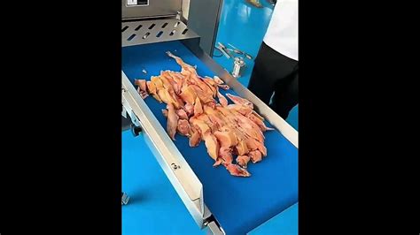 블랙벨트스포츠 고기자르는기계 생선슬라이스기계 뼈생선슬라이스기계 Youtube