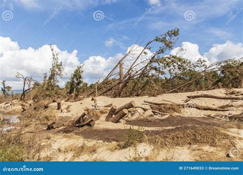 Photograph Of Flood Damaged Trees Along The Nepean River In Australia Stock Image Image Of