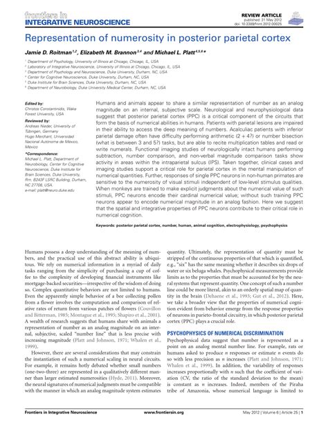 Pdf Representation Of Numerosity In Posterior Parietal Cortex