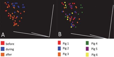 3 Dimensional Pcoa Plot Showing Weighted Unifrac Distance Of Fecal Download Scientific Diagram