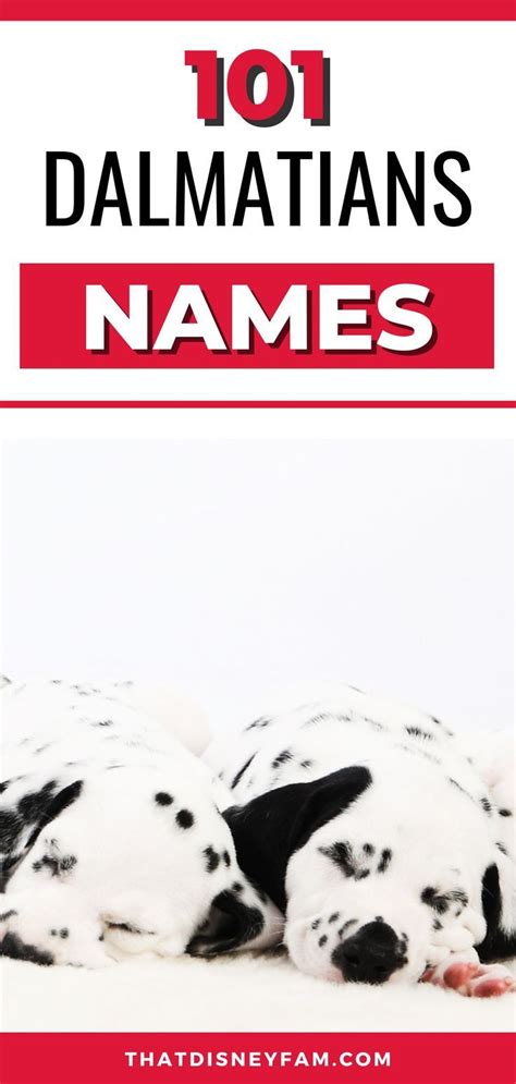 101 Dalmatians Names Disney Movies 101 Dalmatians Names 101