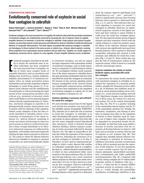 Pdf Evolutionarily Conserved Role Of Oxytocin In Social Fear