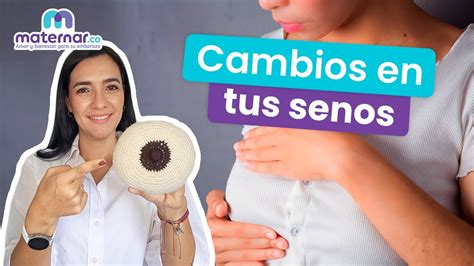 Descubre los cambios que experimentarán tus senos durante el embarazo Maternar co YouTube