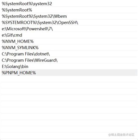 Pnpm设置全局包的安装路径 掘金