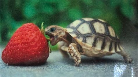 Intro My First Video 😅 Youtube