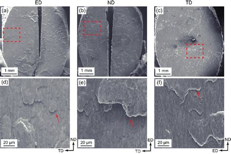Sem Fractographs Of The Postmortem Specimens For Quasi Static