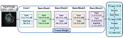 This Is The Architecture Of The Fine Tuned Resnet 18 Download Scientific Diagram