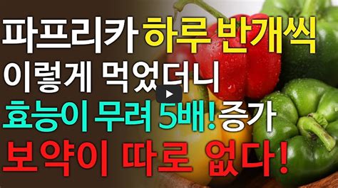 파프리카 효능 정리 빨간색·노란색·피망까지 색깔별 차이