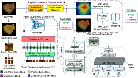 논문 리뷰 Breast Cancer Classification In Deep Ultraviolet Fluorescence