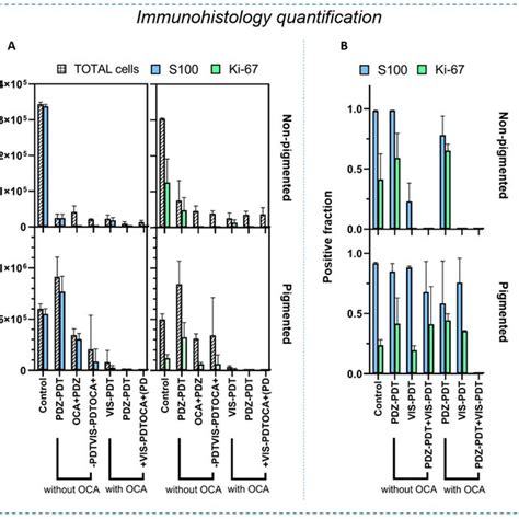 Quantification Of S100 And Ki 67 Expression At 10 D After Pdt