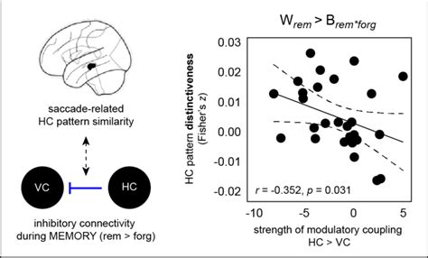 Saccade Related Increase In Hippocampal Pattern Distinctiveness Is Download Scientific Diagram