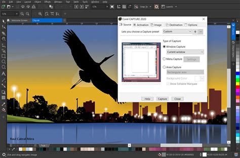 Coreldraw Graphics Suite 2020 Lisans