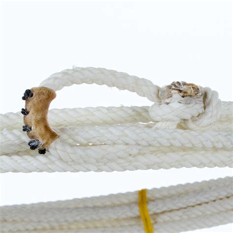 Cactus Ropes And Stran Smiths Destiny 28ft Calf Rope