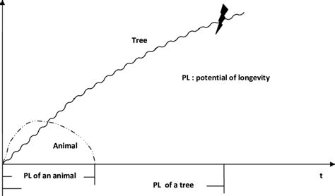 Long Longevity Of A Tree Obtained By Repeated Developments Some Download Scientific Diagram