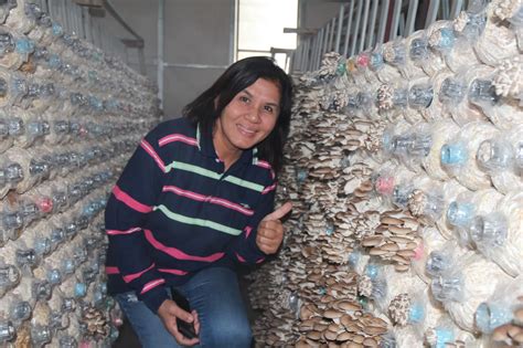 Depa Thailand Iot Mushroom