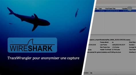 Kaml L On Linkedin Wireshark Tracewrangler Pour Anonymiser Une Capture
