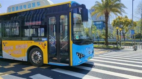交运部二维码城市间互通首例试点：沪甬市民可异地刷码坐公交凤凰网