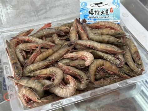 【禧福水產】基隆野生老劍蝦東北角大劍蝦 特價349元500g±1040 50隻 最低價居酒屋日本料理燒烤熱炒 Yahoo奇摩拍賣