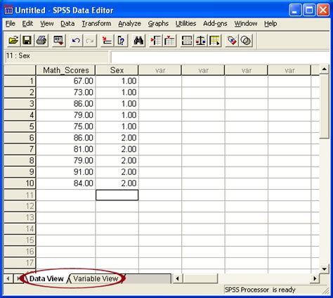 Independent Samples T Test With Spss