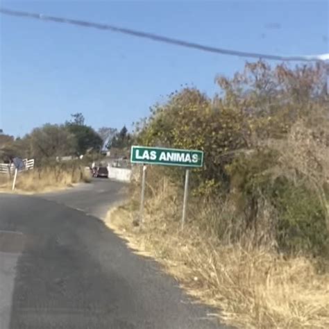 Las Animas Zacatecas Youtube