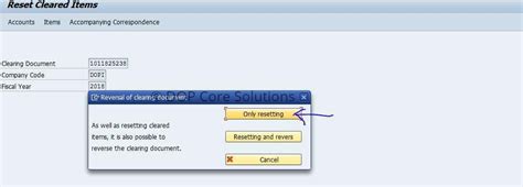 Process Of Reversing The Clearing Document In Sap Dop Core Solutions Process Of Reversing The Clearing Document In Sap Dop Core Solutions