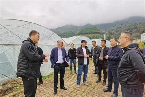 附属医院赴大凉山开展帮扶与调研工作 西南医科大学新闻网