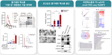 ‘15분 내 줄기세포 유래 초고순도 세포외소포체 대량생산 기술 개발 Bric