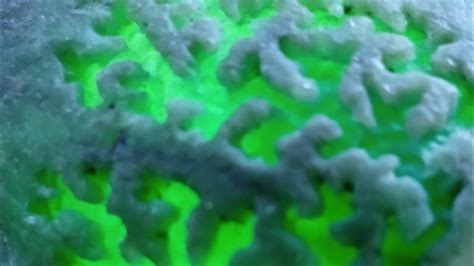 နောက်ဆုံးပိတ် အိတ်နဲ့လွယ် 2d Minthame Is Live Youtube