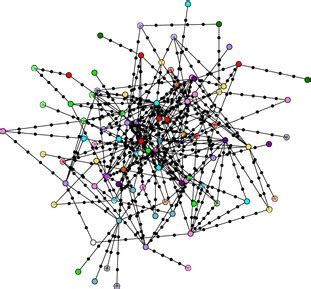 A Minimum Spanning Network Based On The Most Parsimonious Pairwise Download Scientific Diagram