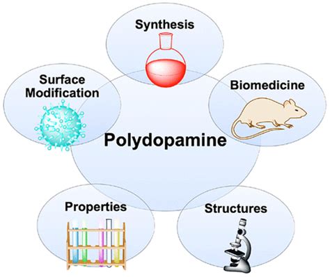 Versatile Polydopamine Platforms Synthesis And Promising Applications