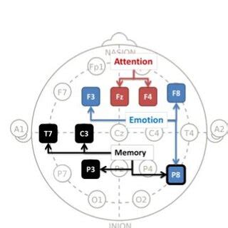 The Spectrogram Process Of EEG Data Download Scientific Diagram