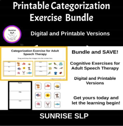 Categorization Exercises For Adult Speech Therapy Digital And Printable