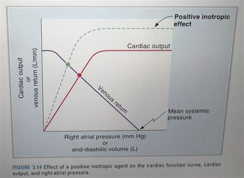 Solved Figure 3 14 ﻿effect Of A Positive Inotropic Agent On
