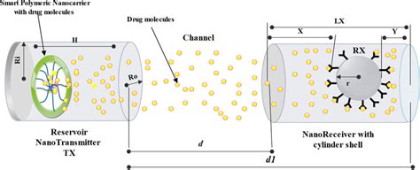 End To End Molecular Communication System Download Scientific Diagram