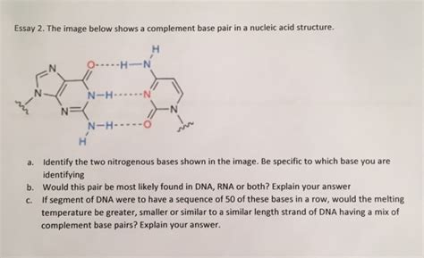Solved Essay 2 The Image Below Shows A Complement Base Pair