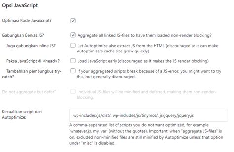 cara optimasi kecepatan website menggunakan plugin autoptimize speed