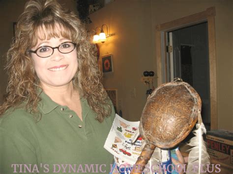 Fun Homebabe Unit Study Egg To Sea Turtle Lesson Plans Lapbook