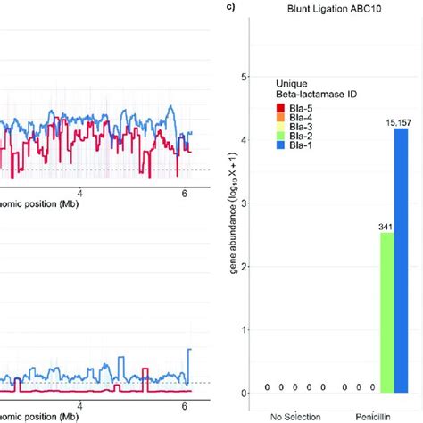 Functional Metagenomic Library Pipeline The General Pipeline For The