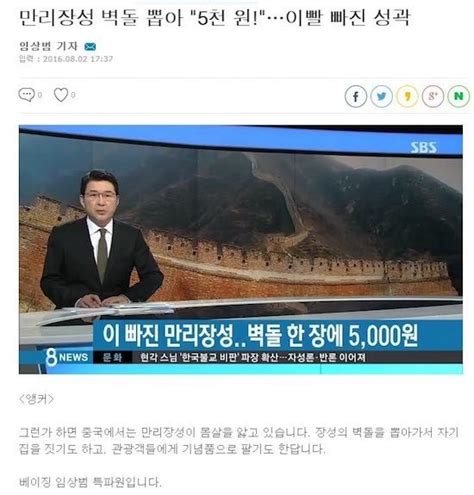대륙의 성매매 유머 움짤 이슈 에펨코리아