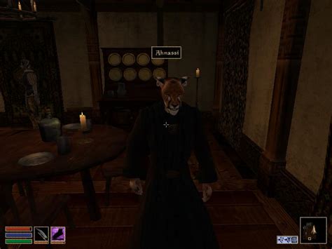 Elder Scrolls 3 Morrowind Part 4 Balmora Ho