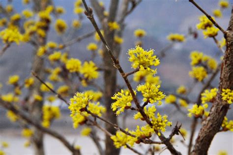 하동캠핑 하동 평사리공원 오토캠핑장 And 섬진강 100리 테마로드 맛보기 네이버 블로그