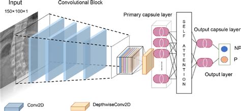 proposed efficient capsnet model with self attention routing for