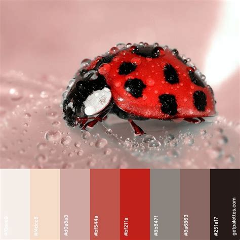 Pin By Color Palettes On Color Palettes Color Palette Design Color Pallets Color Balance